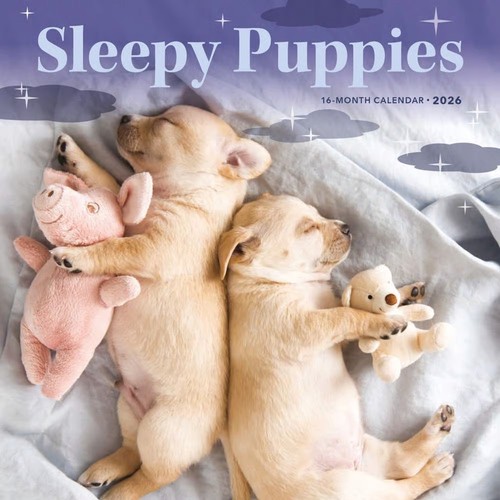 Carousel Calendars, Sleepy Puppies 2026 Mini Wall Calendar, 7'' X 7 ...