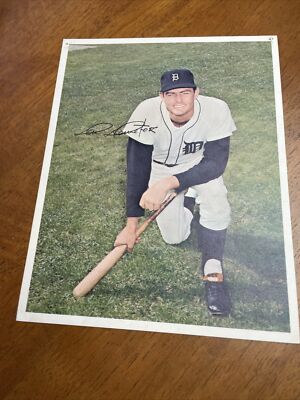 Don Demeter 1964-1966 Detroit Tigers Autographed Signed 8x10 Photo COA ...