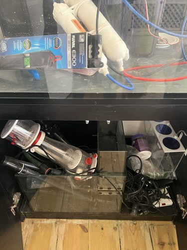 Red Sea Reefer 250 Marine Reef Tank, Sump And Stand | eBay UK