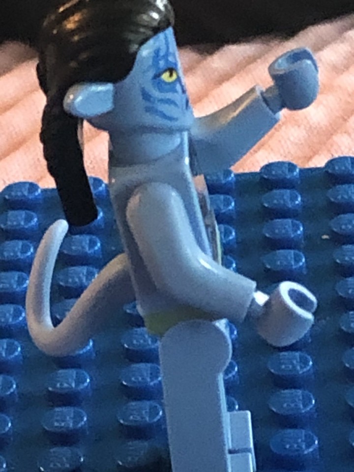 LEGO Avatar Tsu'tey Minifigure avt003 | eBay