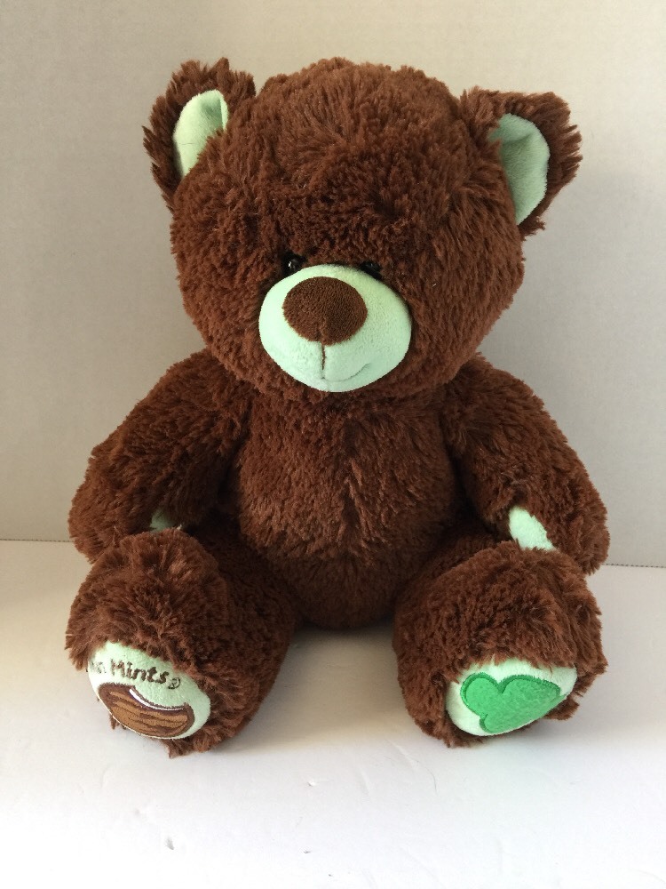 Thin Mint Build A Bear Customized Design Teddy Bear Hug Me Tight