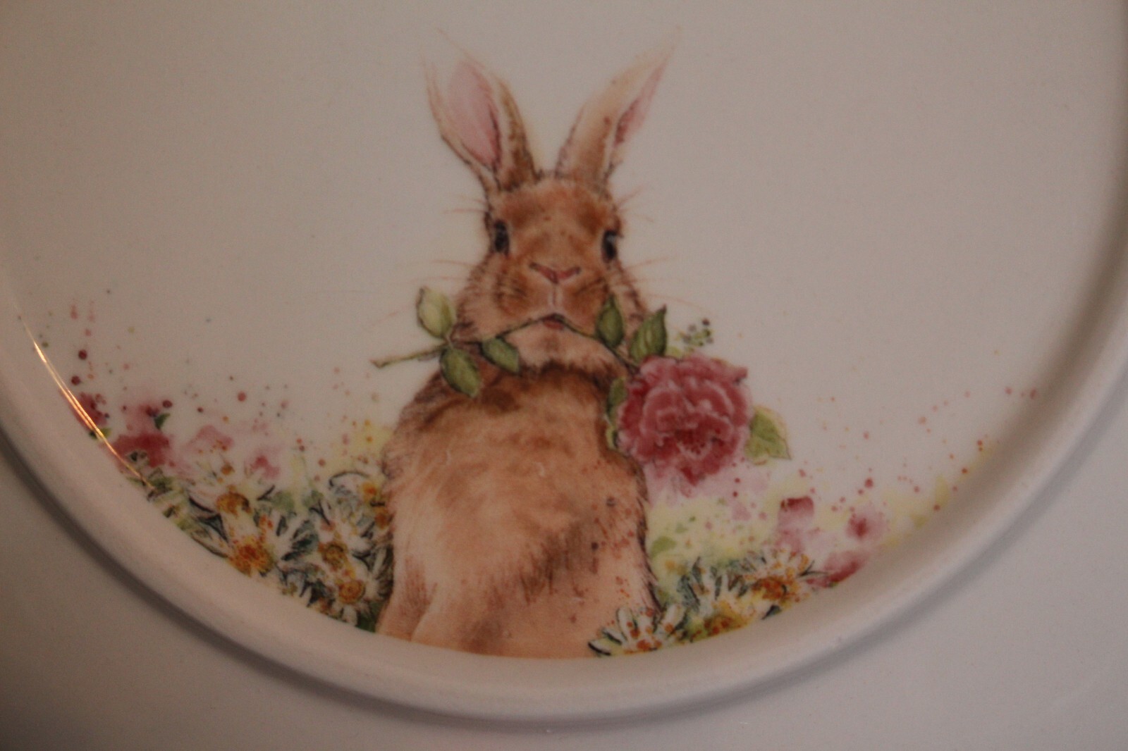 Set of 2 NEW Southern Living Floral Bunny Accent Plates Nibbles | eBay