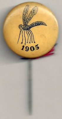 1905 Flatback Celluloid MOSQUITO Stick Pin ~ Mosquito Eradication ...