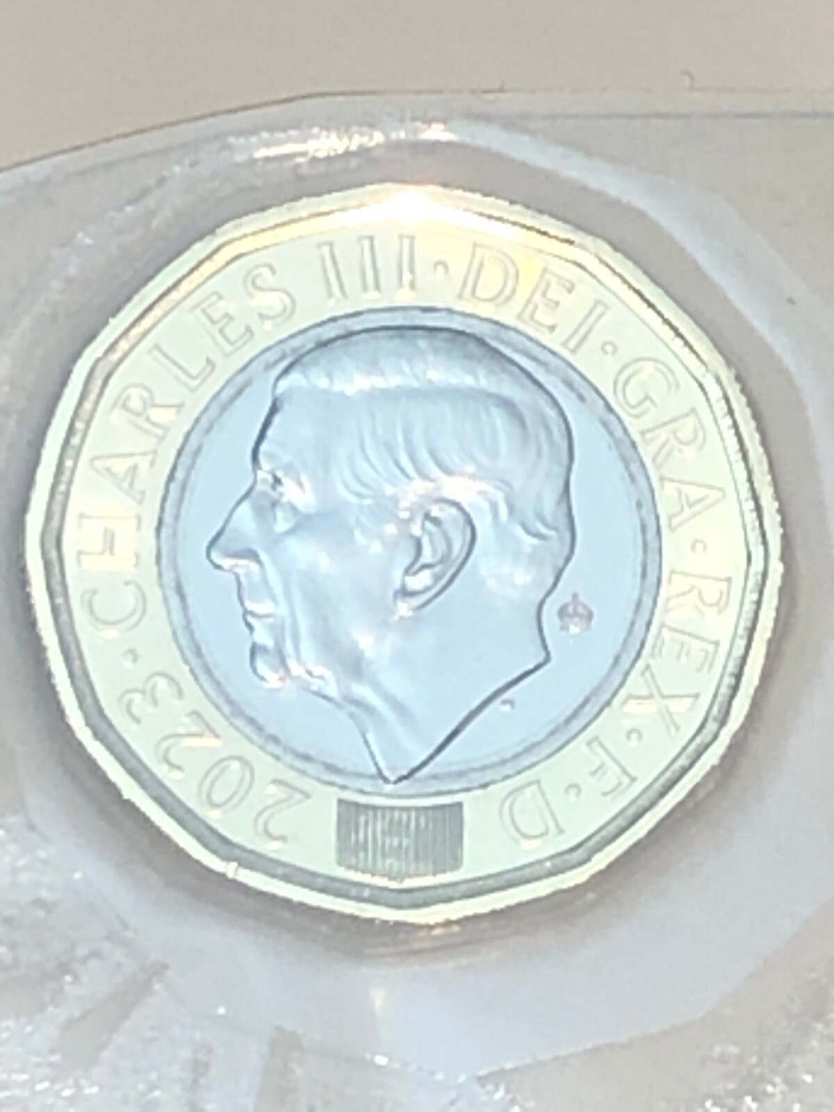 2023 £1 One Pound Coin Bees - Charles III Uncirculated UK BUNC | eBay UK