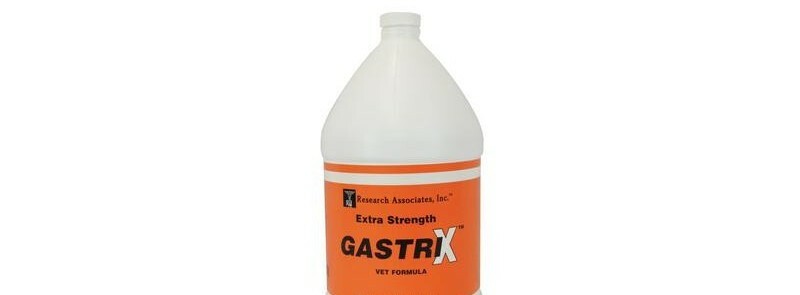 Gastrix 64 oz Digestive Horse Equine Hindgut Foregut | eBay