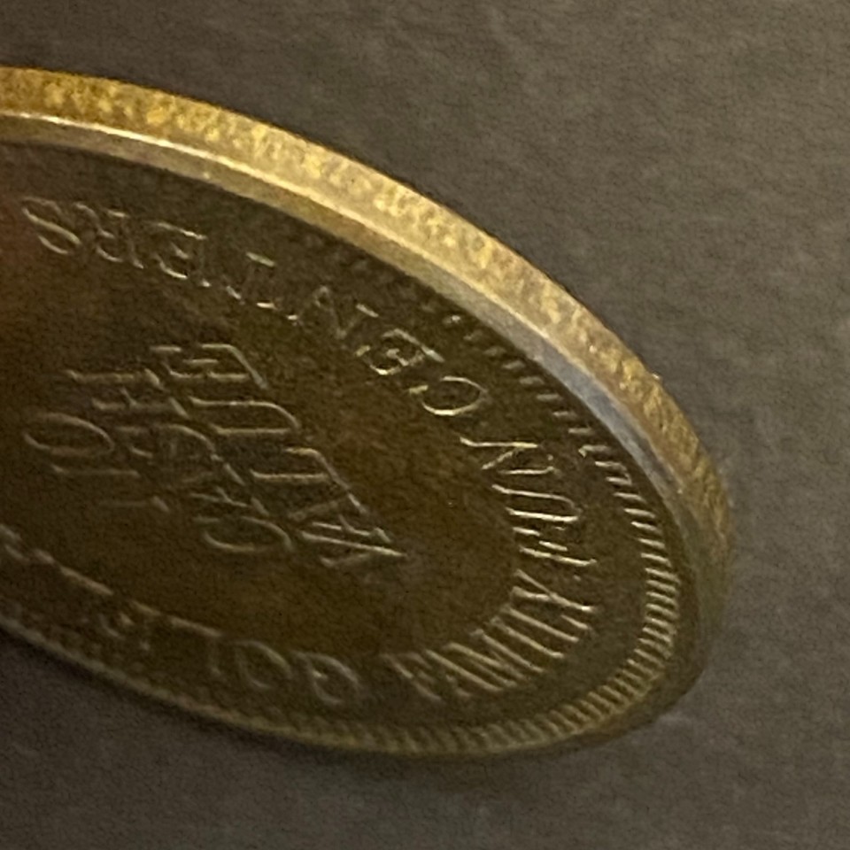 Family Fun Center Token Amusement Arcade Golfland 22.5mm 5g | eBay