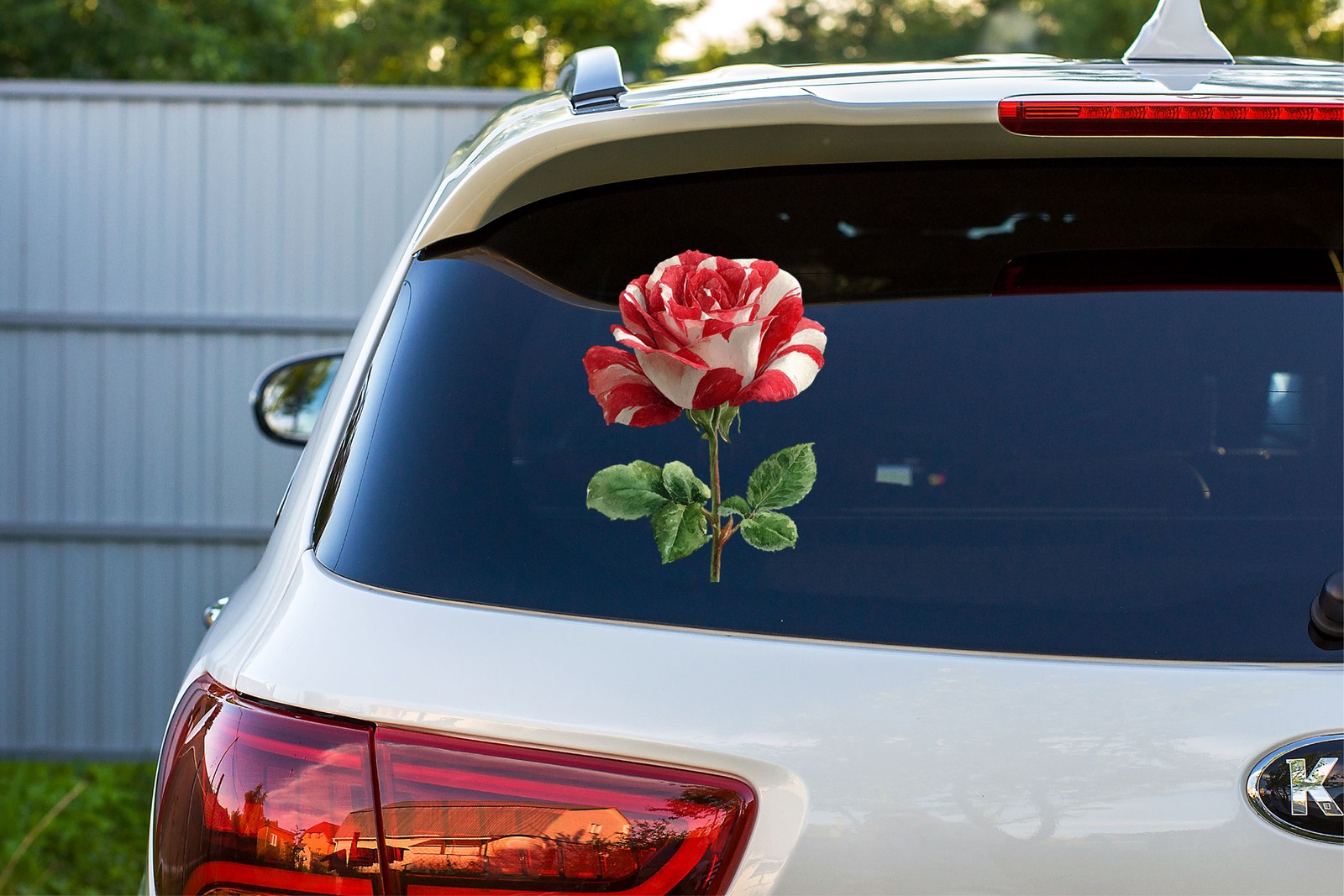 Valentine's Day Rose Wall Art Bedroom Nursery Decor Vinyl Sticker Decal ...