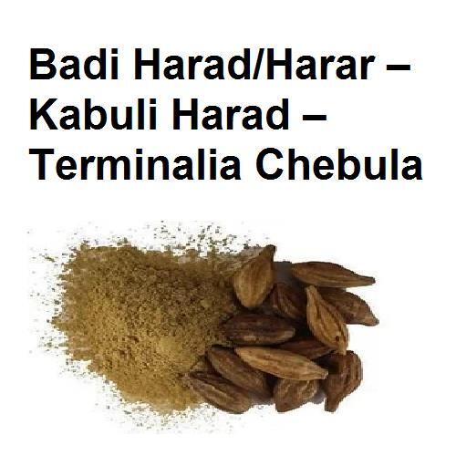 Badi Harad/Harar – Kabuli Harad – Terminalia Chebula Whole & Powder ...