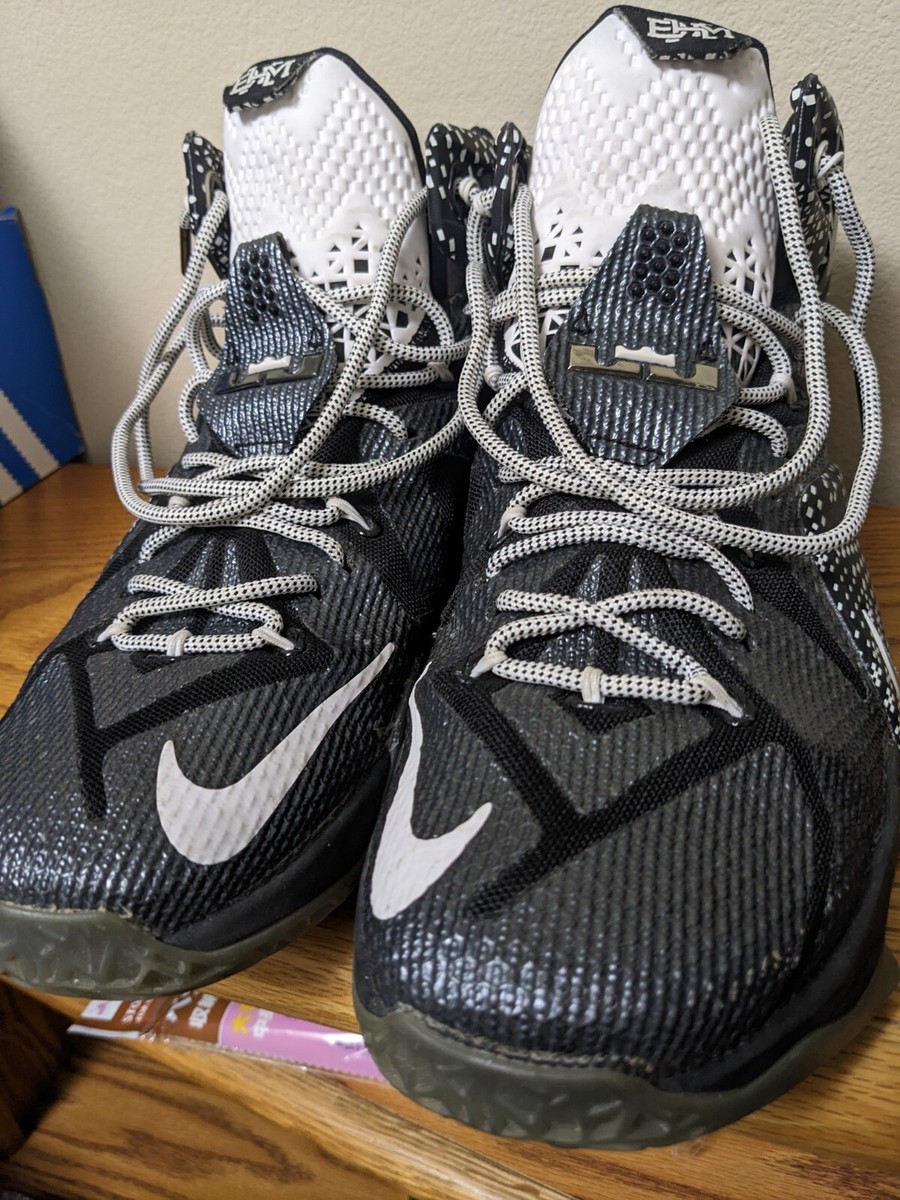 Lebron 12 Black History Month