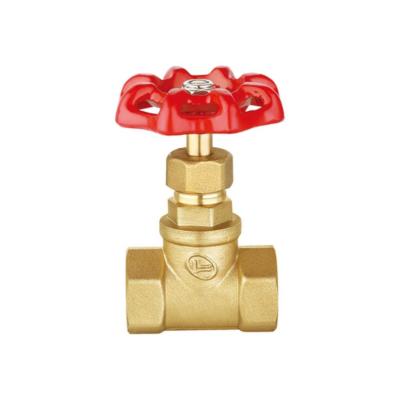 BRASS GATE VALVE 20mm ¾" FI × FI FULL FLOW ,DOUBLE LIN GVB20 For ...