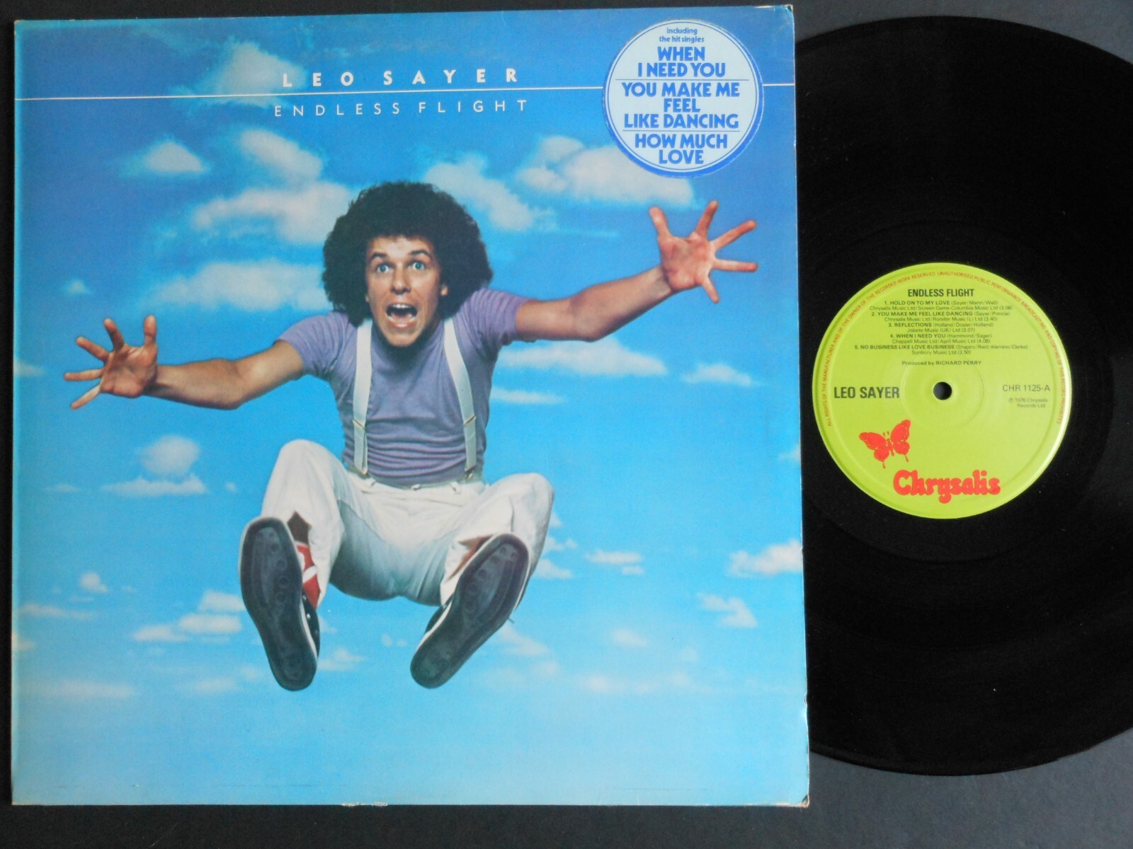 LEO SAYER Endless Flight 12" Vinyl LP album 1976 Chrysalis CHR 1125 ...