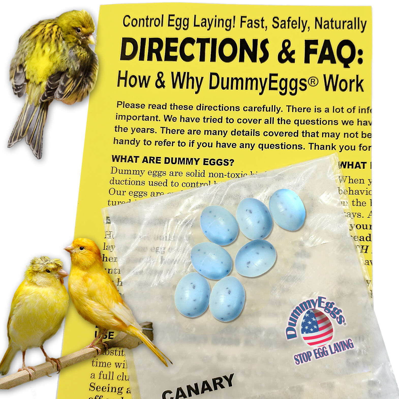 CANARY DUMMY EGGS STOP LAYING! Non-Toxic Speckled Blue Green Fake Bird ...