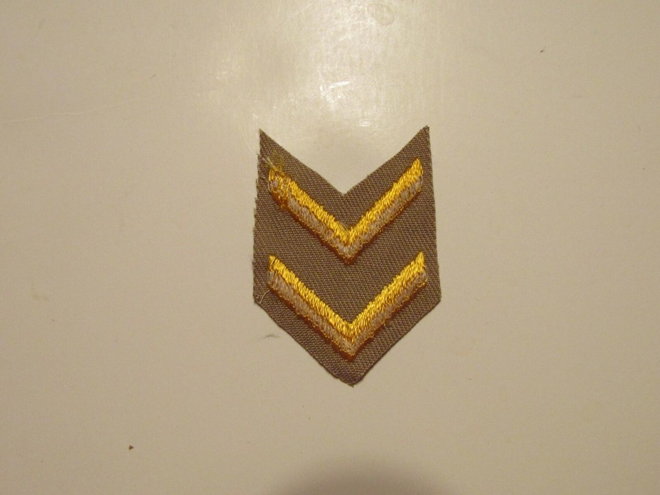 e3030 WW2 US Army Overseas Svc/Wound Chevron for WW1 Vets 12 Mon/2 ...