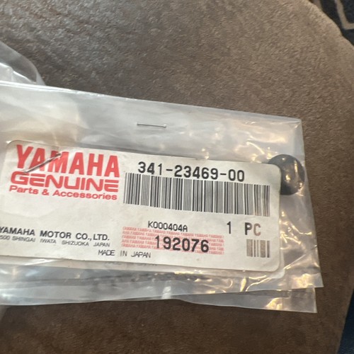 Yamaha OEM Cap Bolt 341-23469-00-00 QTY 2 | eBay