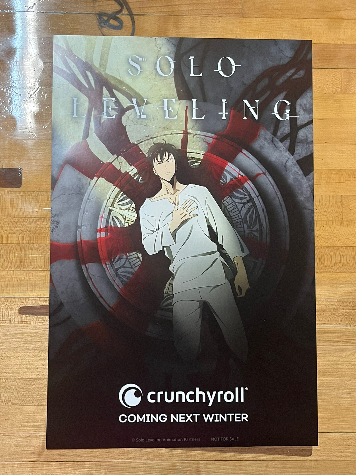 Anime Expo AX/SDCC 2023 Solo Leveling Promotional Poster Crunchyroll | eBay