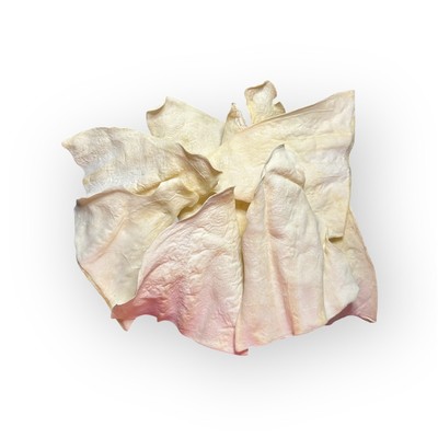 “BULK SALE” 100PK NATURAL Cow Ears Dog Treat Healthy Dental Chews Jumbo ...