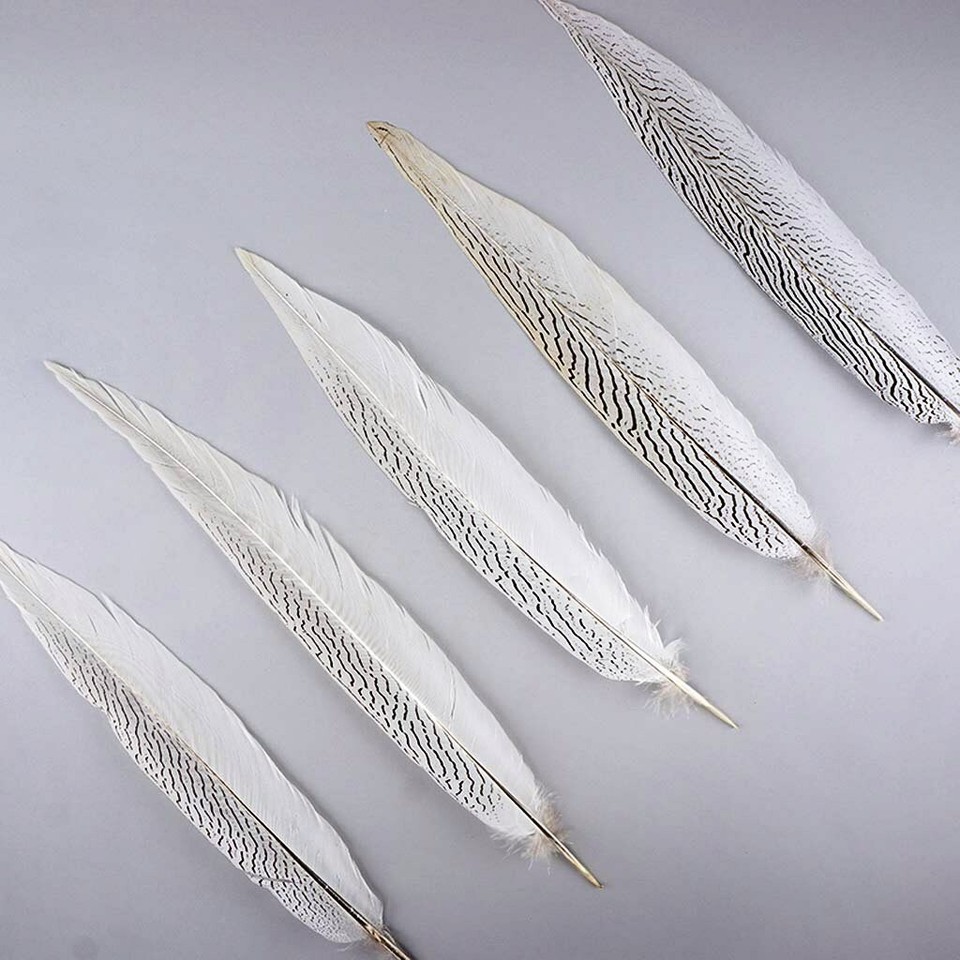 SILVER PHEASANT Natural Feathers 25-30 (Craft/hats/Halloween) VARIOUS ...
