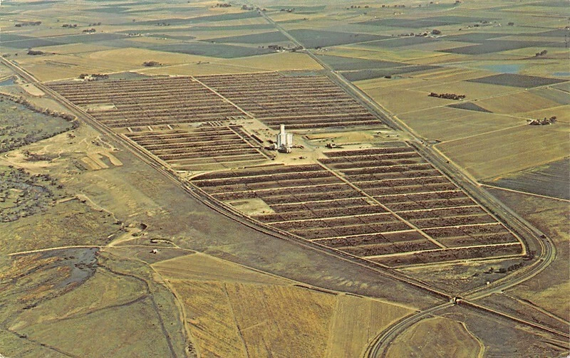 Monfort Beef Company