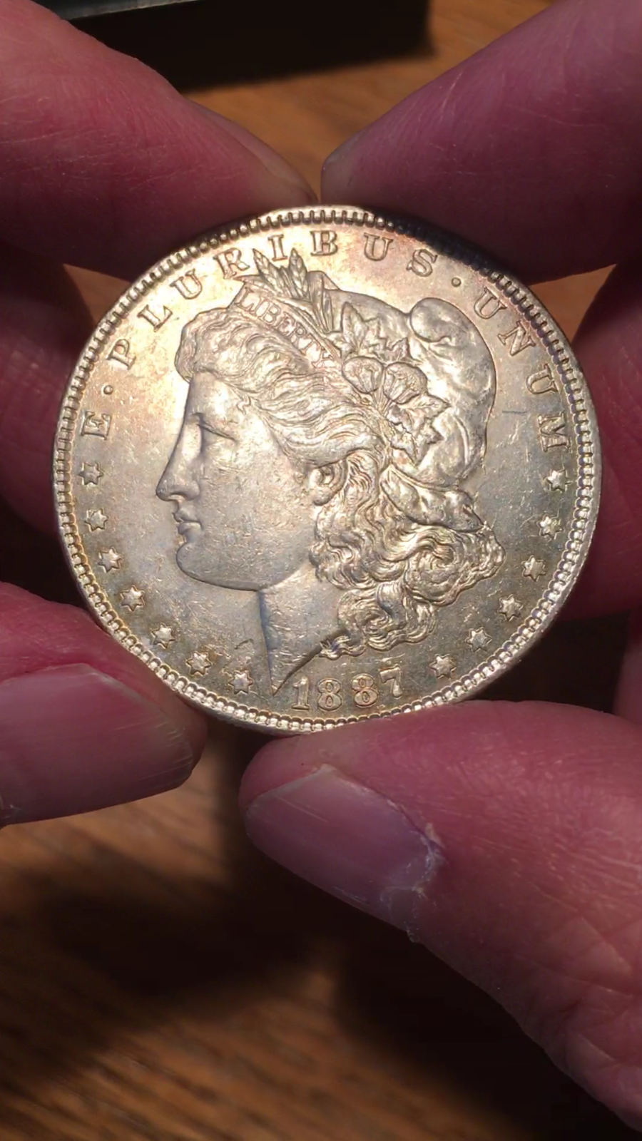 1887 Morgan Silver Dollar - High Quality Scans #N390 | eBay