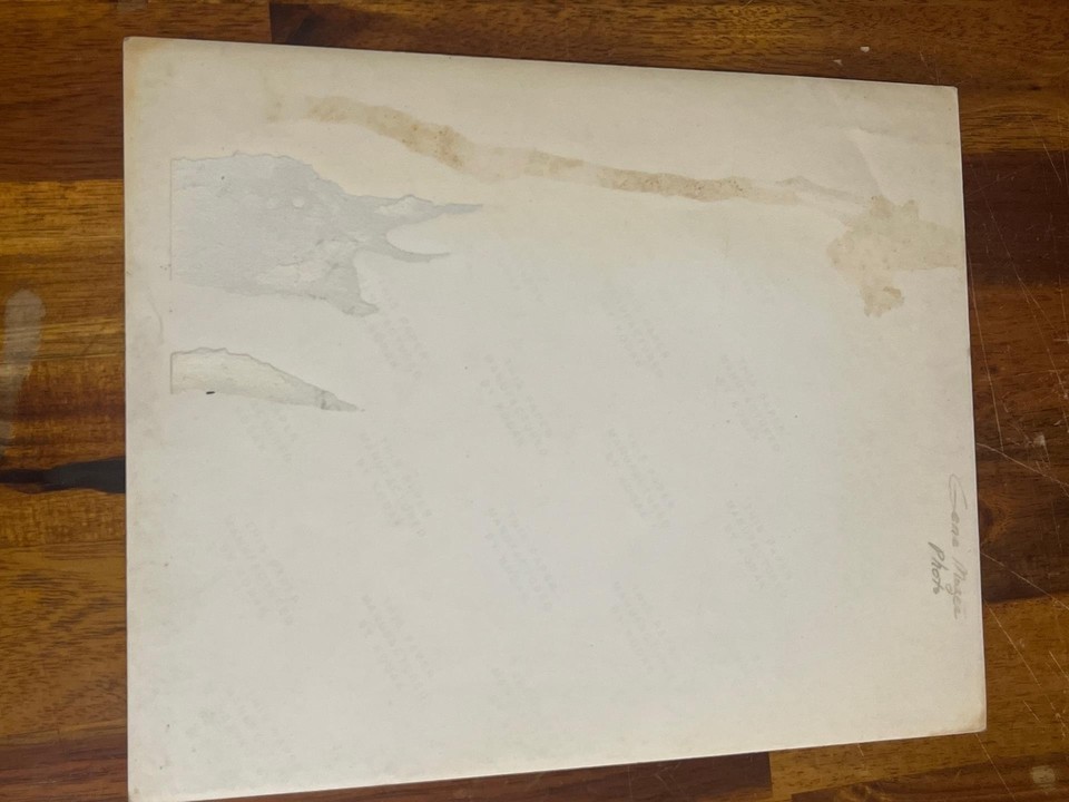 GEORGE SHEFFIELD bodybuilding muscle ORIGINAL Contest photo by Gene ...