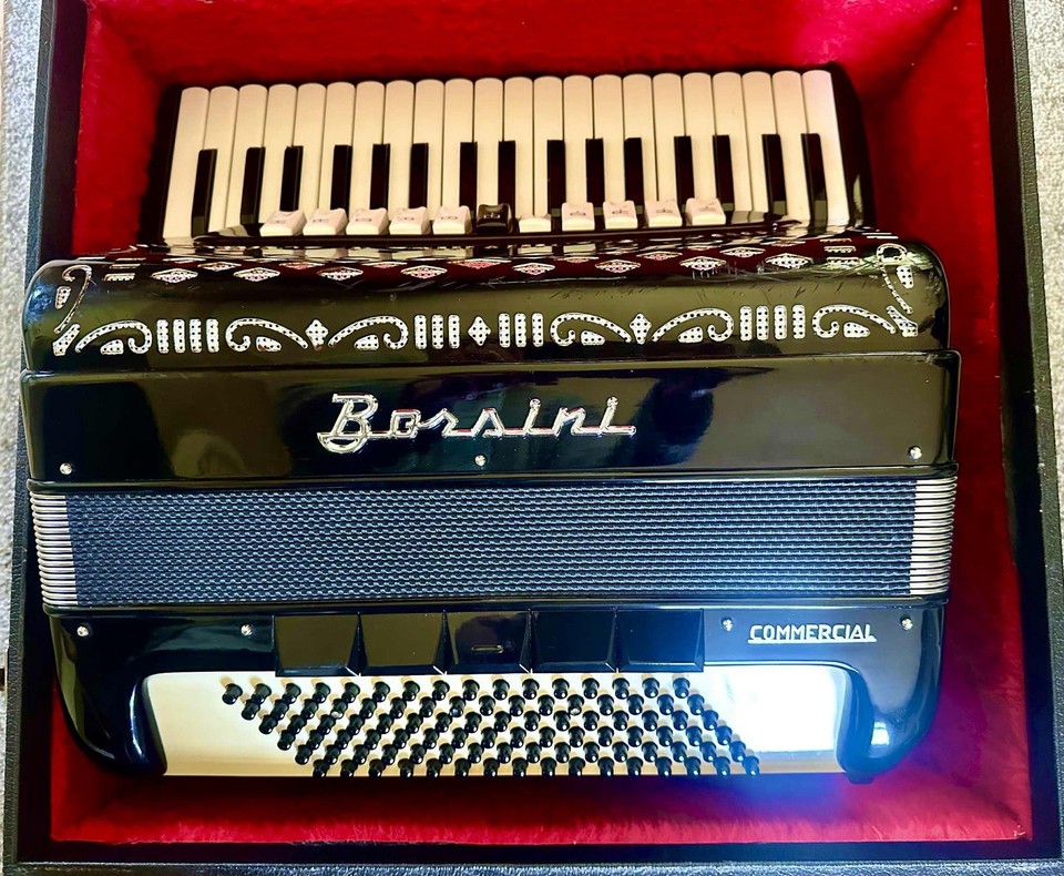 Beautiful Borsini Accordion Full Size 96 Bass, Great Condition With ...
