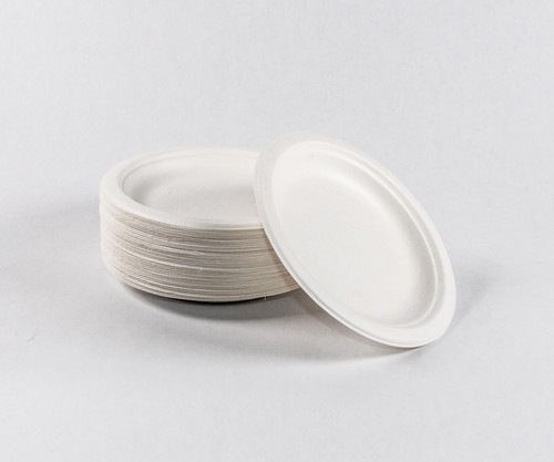Superior Compostable Plates, 6-Inch Natural Disposable Plates, Master ...