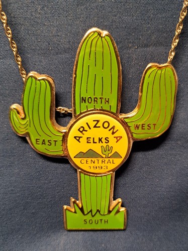 BPOE Arizona State Pin 1993 Silver Back & Chain Neckless | eBay
