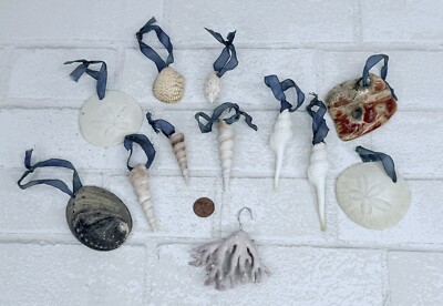 Natural Sea Shell Christmas Ornaments Conch Sand Dollar Abalone Shells ...