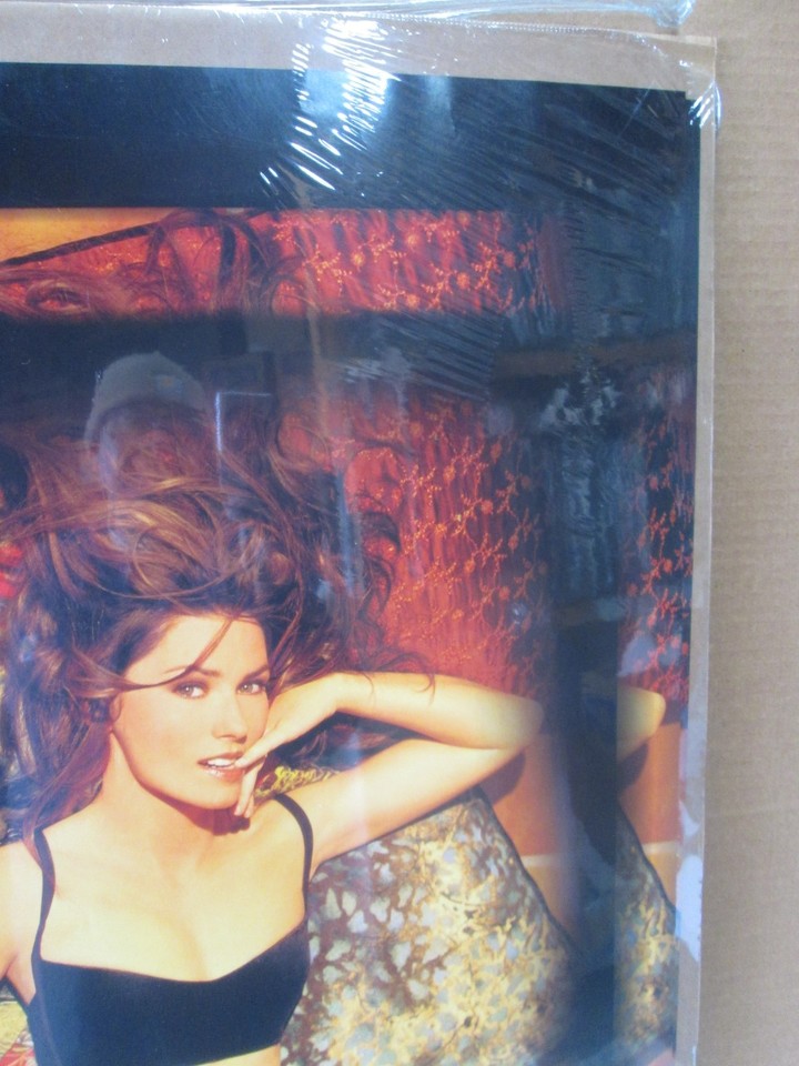 Shania Twain vintage poster 1998 singer songwriter 22866 | eBay
