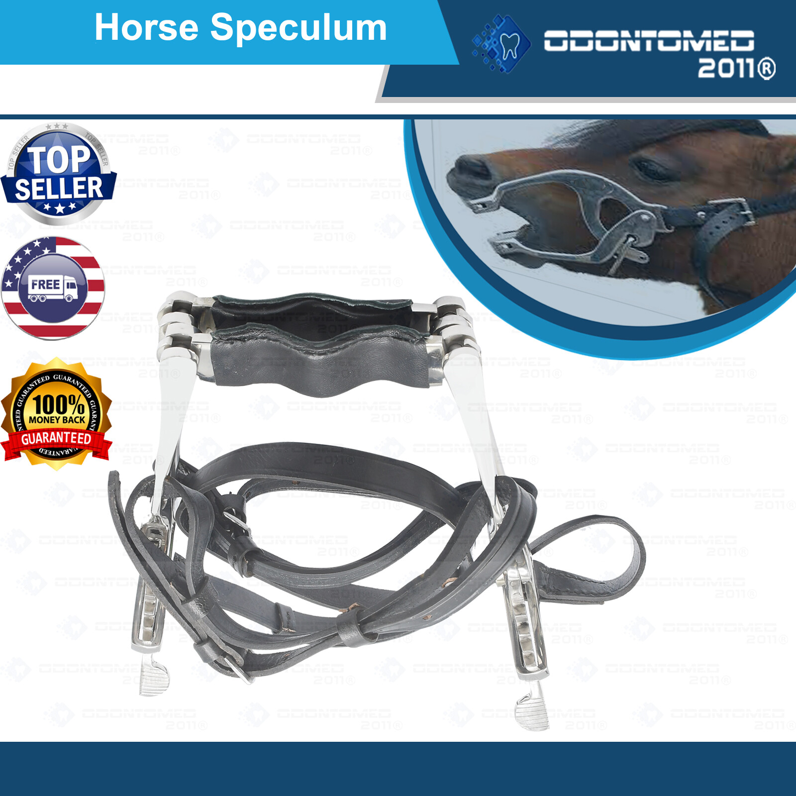 Equine Dental Speculum Horse Mouth Gag Stainless Steel Leather ...