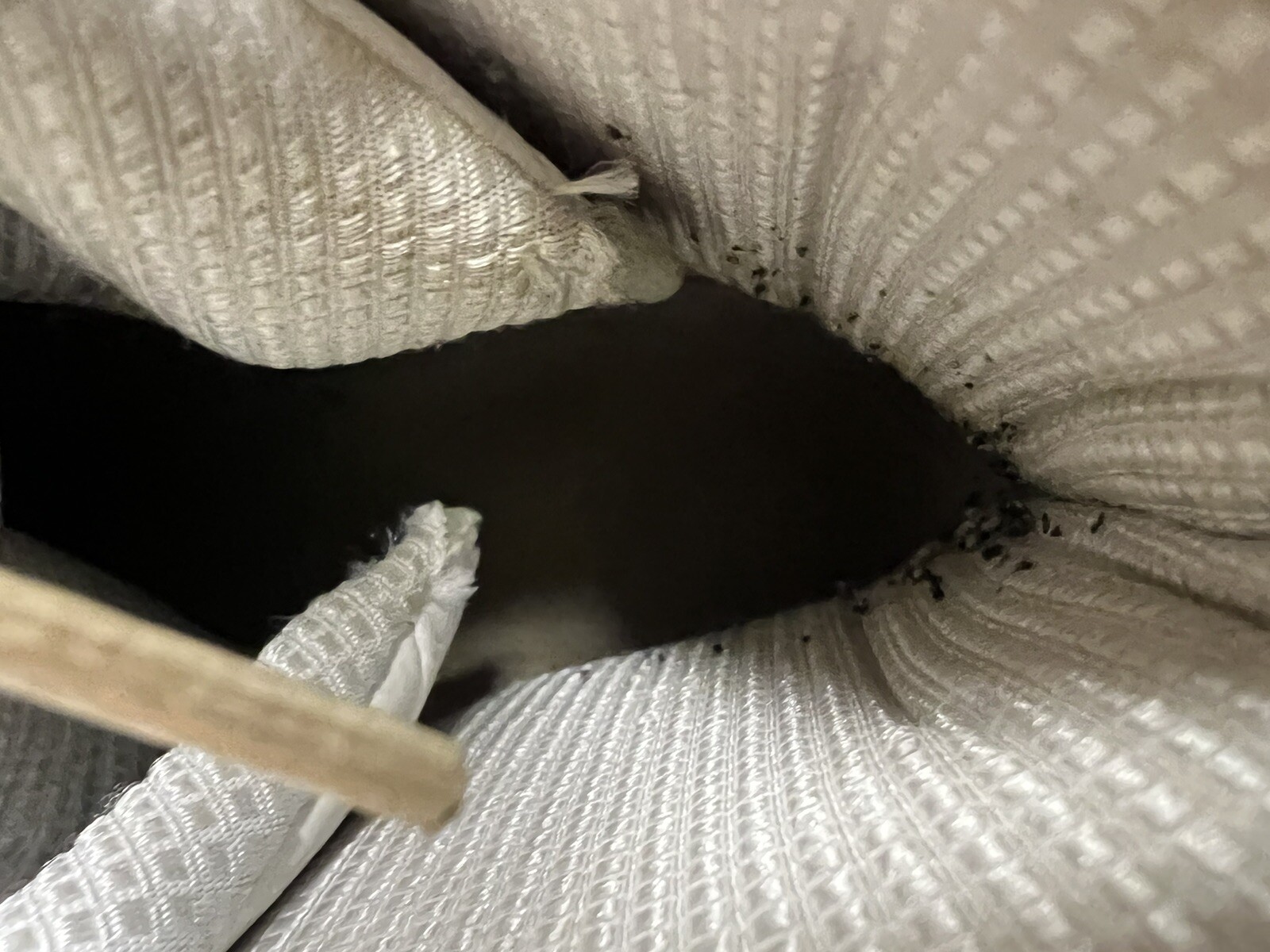 RARE🔥 Reebok PYS x Twilight Zone Pump The Tribute Co… - Gem