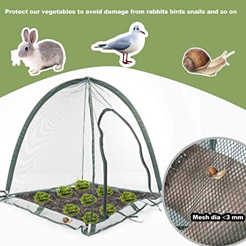 6x6x9 inch Pack of Pest Guard Cover for Vegetables Fruits Durable Plant ...