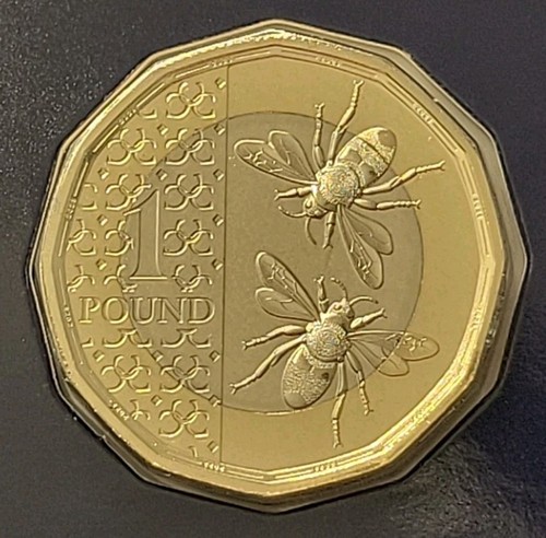2023 Bees UK Brilliant Uncirculated £1 One Pound Coin With Special ...