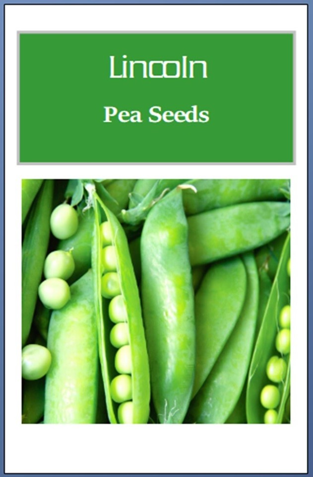 Lincoln Pea Seeds | NON-GMO Pea Seeds | Fresh Heirloom Garden Seeds | eBay