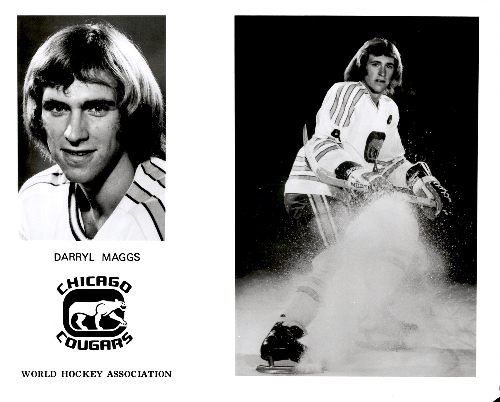 PF7 Original Photo DARRYL MAGGS 1973-75 CHICAGO COUGARS WHA ICE HOCKEY ...
