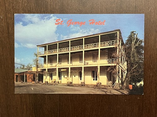 St George Hotel Volcano California Vines Vintage Postcard | eBay