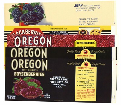 Oregon Berries, set of 5 Berry Can Labels | eBay