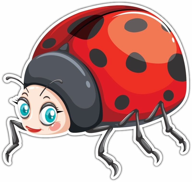 Cute Ladybug Lady Bug Coccinellidae Insect Car Bumper Window Sticker ...