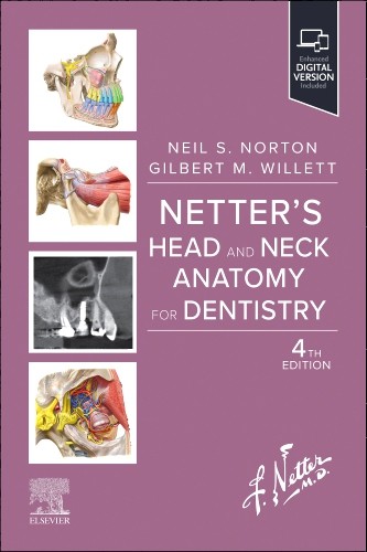 Netter's Head and Neck Anatomy for Dentistry | eBay Australia