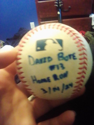 The Chicago Cubs Home Run Ball | eBay