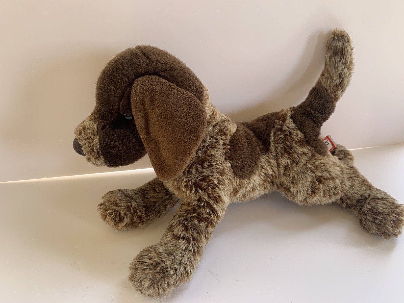 Are German Shorthaired Pointers Cuddly