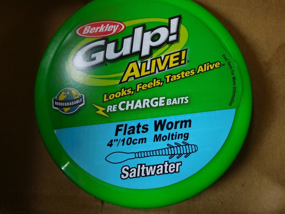 Lot of 2 Berkley Gulp Alive Jar 4” Flats Worm 21.3 Oz Molting FREE Gift ...