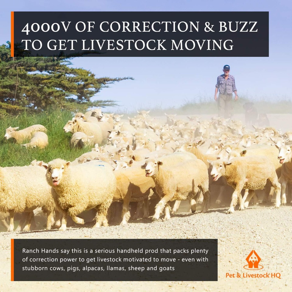 Cattle Prod Handheld Hot Shot - Electric Cattle Prod Livestock - Mini ...