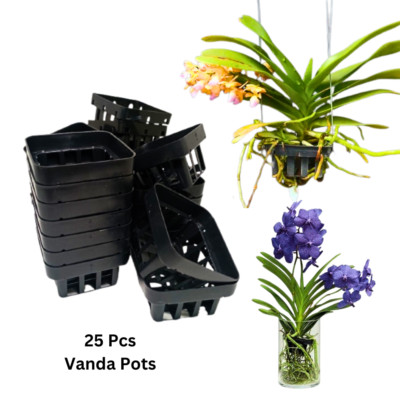 25 PCs Vanda Orchid Pots Plastic Square Hanging Basket Outdoor ...