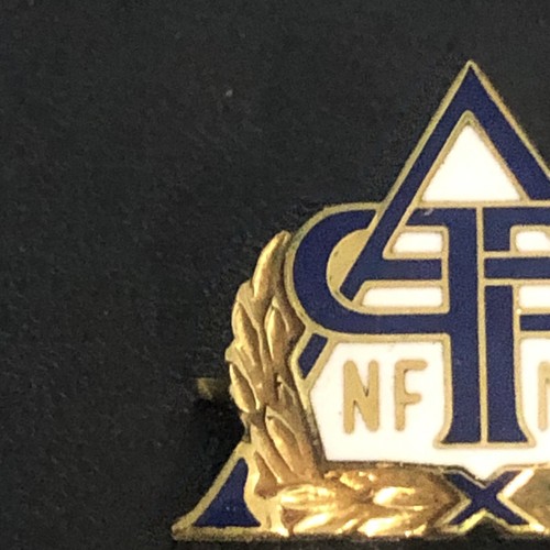 Vintage NFMC National Federation Of Music Clubs 1/10 10K Small Triangle ...