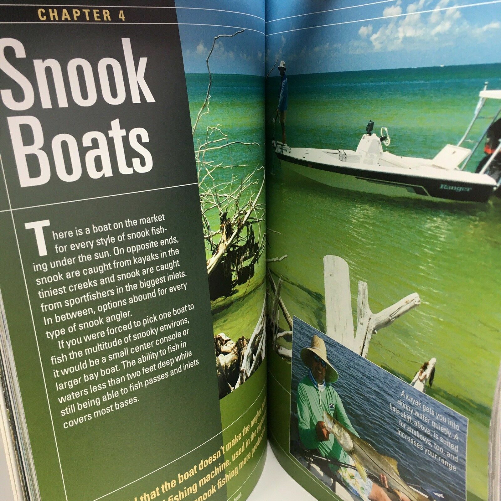Sportsman's Best : Snook Book and DVD Combo by Brett Fitzgerald (2010 ...