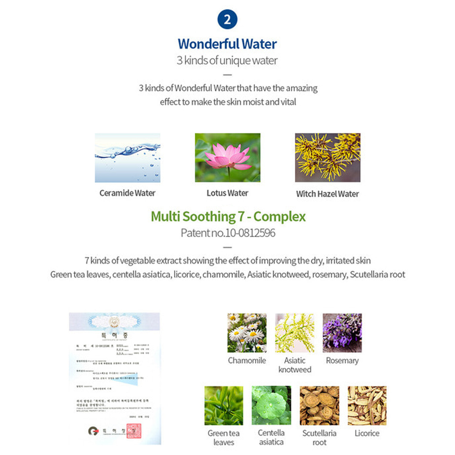 DERMA ELRAVIE Derma Hyal-Solution Waterful Sun Cream SPF 50+/PA++++1 ...