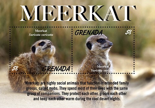 Grenada 2021 - Meerkats Animals - Souvenir Stamp Sheet - Scott #4411 ...