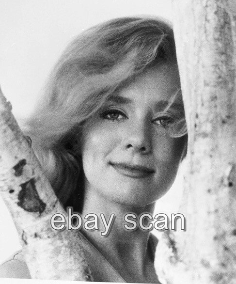 INGER STEVENS BEAUTIFUL PORTRAIT 8X10 PHOTO img823 | eBay