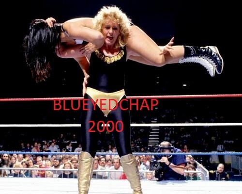 Judy Martin Wrestling On Youtube